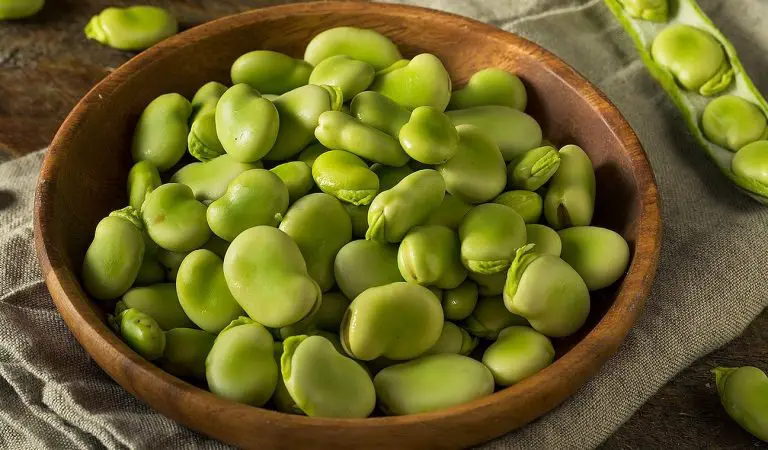 Habas ¿Que son? Origen, Beneficios, Tipos, Valor Nutricional y más.