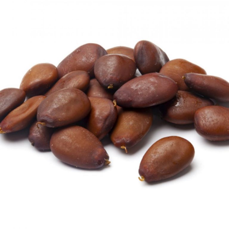 Algarroba ¿Que es? Origen, Beneficios, Tipos, Valor Nutricional y más.