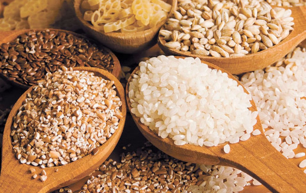 Alimentos ¿Qué son? ¿Cuantos tipos existen? ¿Para que sirven? y más