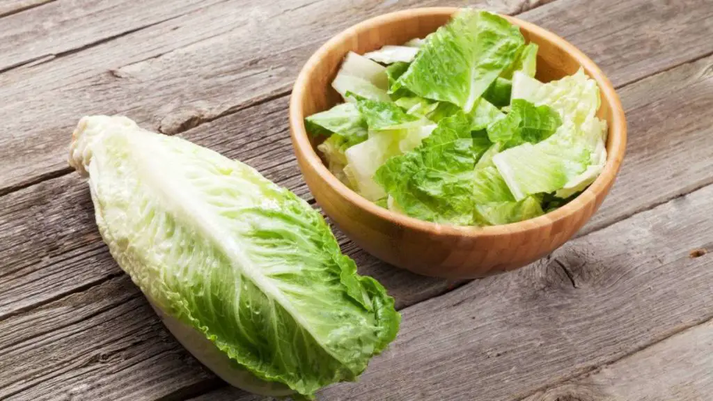 Lechuga ¿Qué es? Origen, Tipos, Beneficios, Valor Nutricional y más.