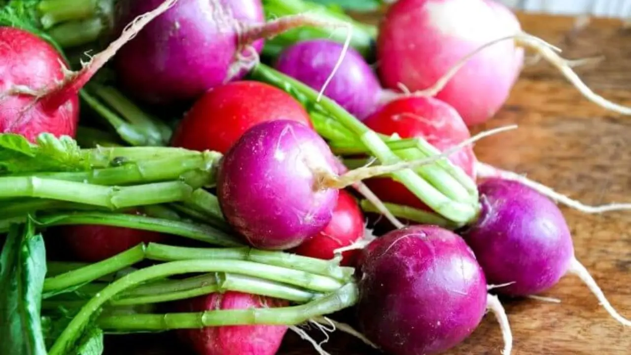 El Rábano: Alimento con bajo contenido calórico