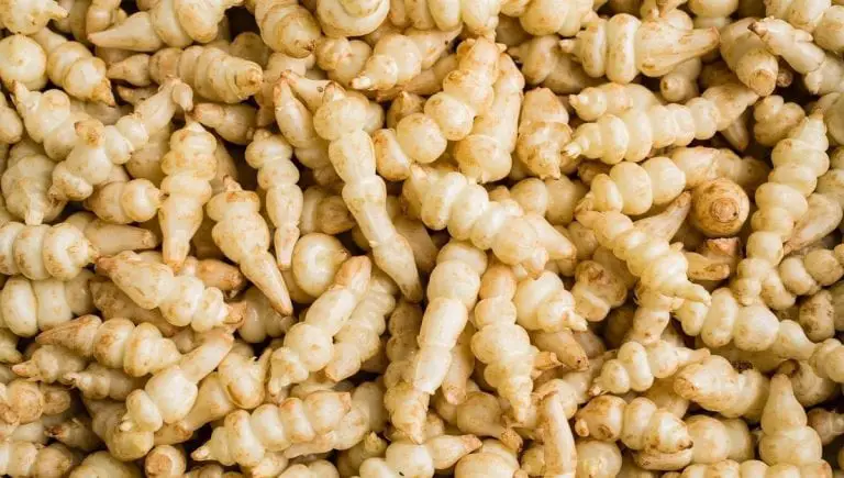 Achira ¿Qué es? ¿Para qué sirve? Origen, Beneficios y más.