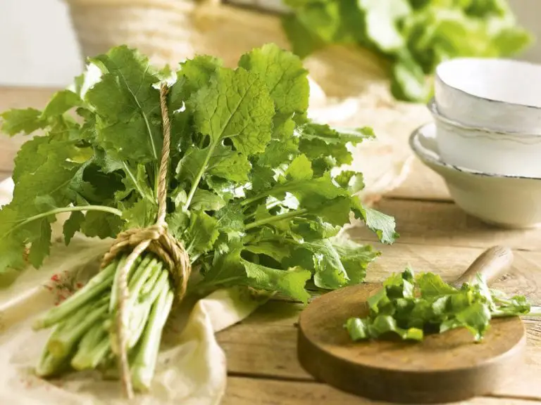 Grelo ¿Qué es? ¿Qué propiedades tiene? Tipos, usos y más.