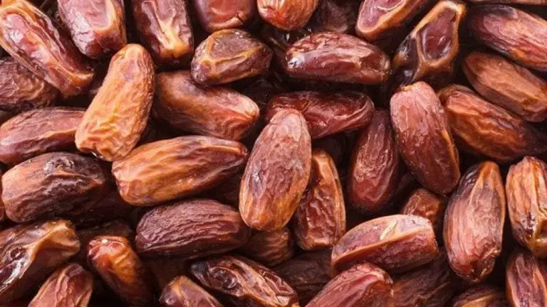 Dátil ¿Qué es? Origen, Beneficios, Tipos, Valor Nutricional y más.