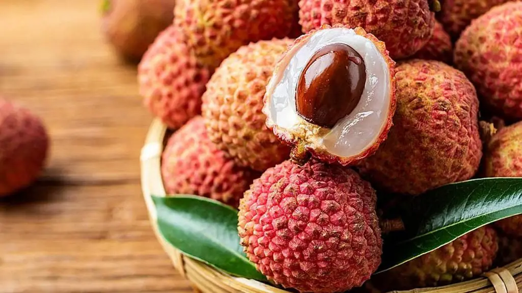 Lichi ¿Qué es? Origen, Beneficios, Tipos, Valor Nutricional y más.