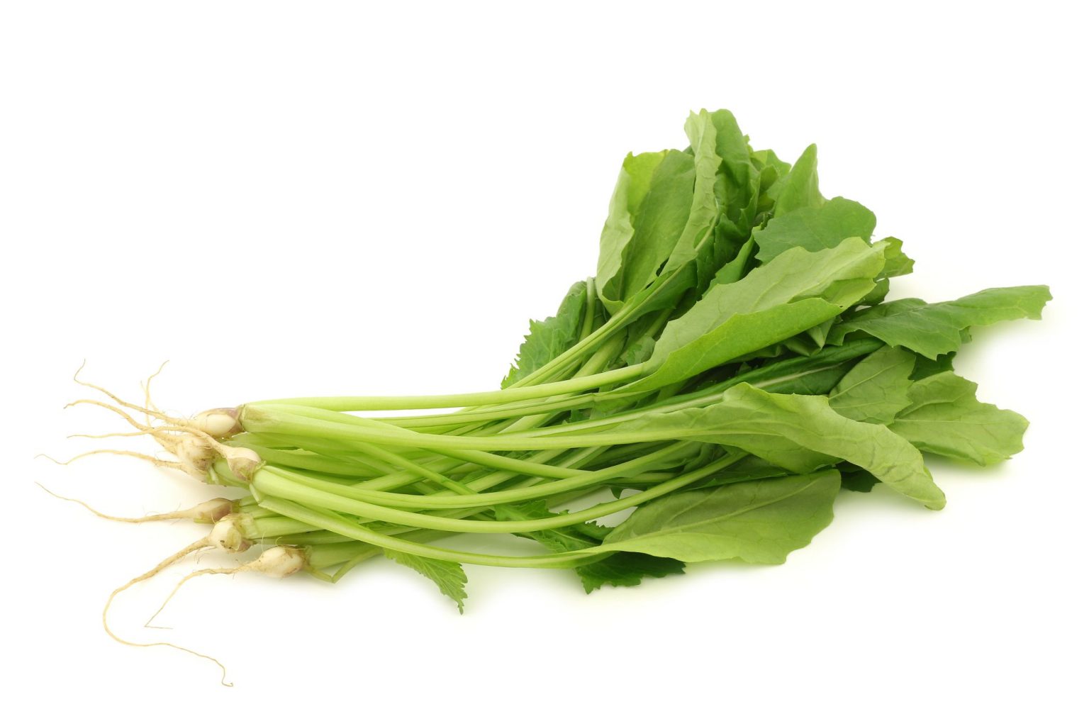 Grelo ¿Qué es? ¿Qué propiedades tiene? Tipos, usos y más.