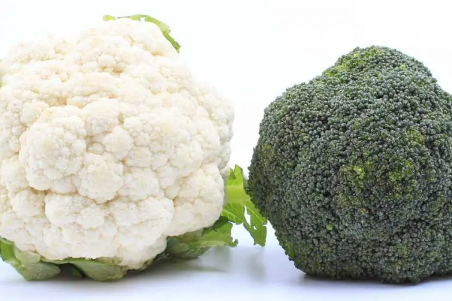 ¿Cómo conservar la coliflor? ¡Aprovecha sus nutrientes!