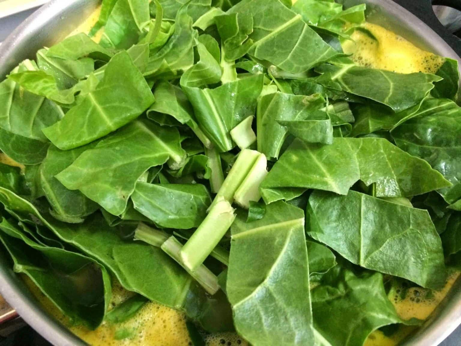 ¿Cómo conservar la acelga? ¡Trucos, consejos y más!