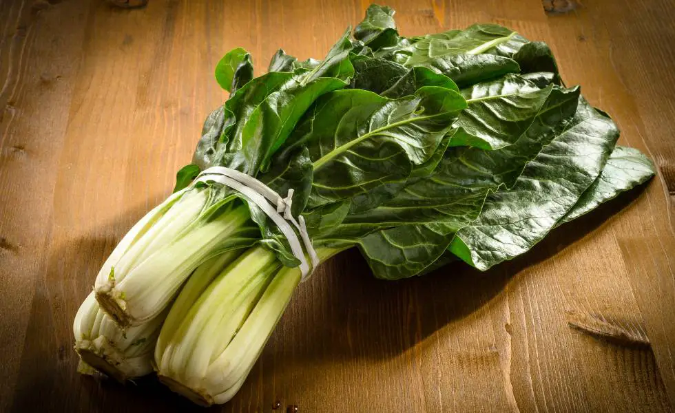 ¿Cómo conservar la acelga? ¡Trucos, consejos y más!