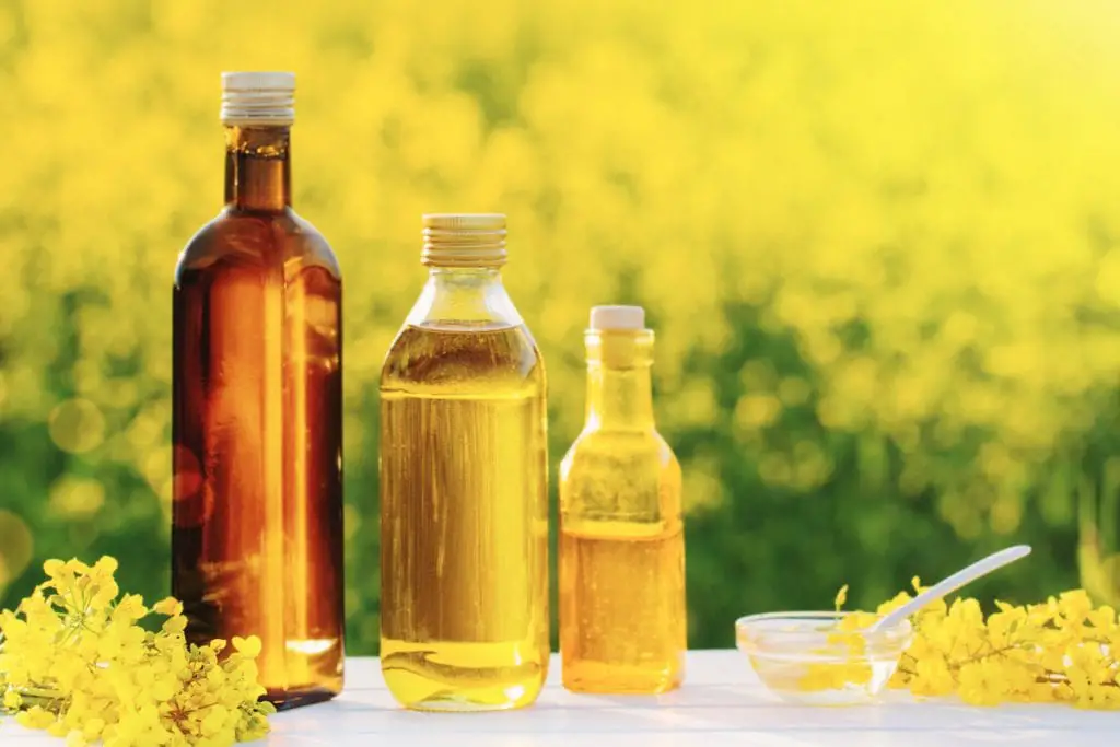 Aceite de colza: propiedades y usos - ¡Origen - beneficios!