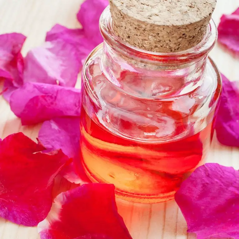 Aceite de rosas ¿Cómo hacer? - ¡Ideal para la piel!