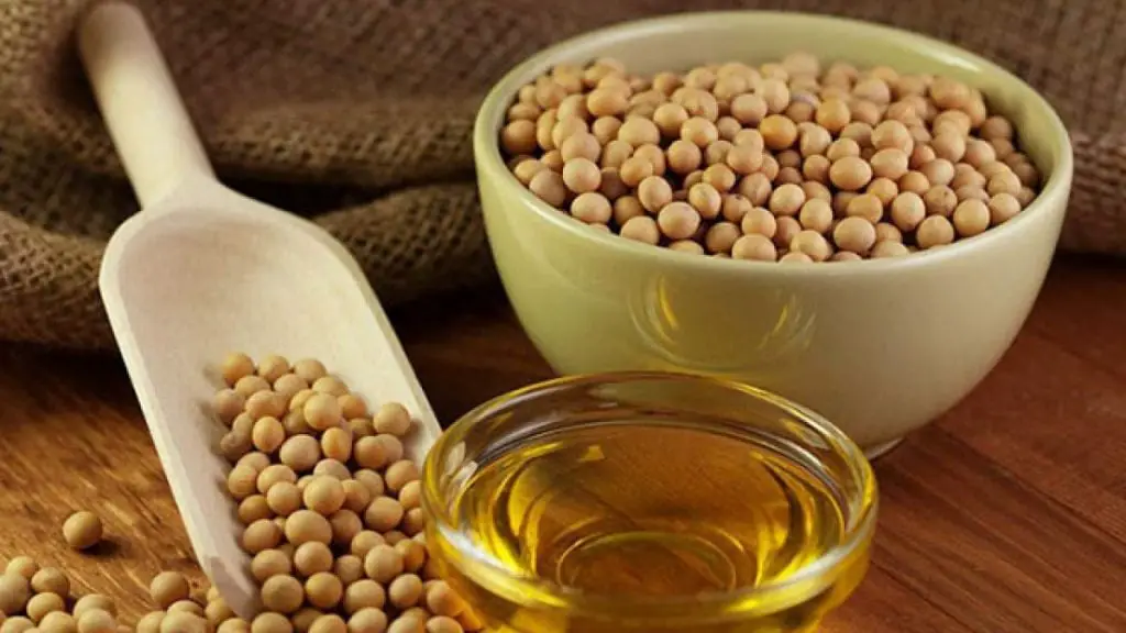 Aceite de soya (Beneficios y propiedades) - ¡Usos y más!
