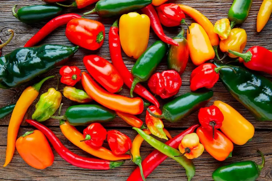 Chiles ¡Todo lo que debes saber! - (Tipos, origen y más)