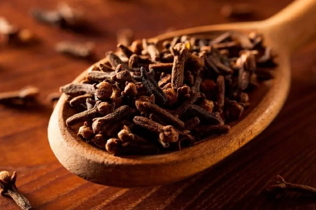 Clavos de olor ¡Utiles para adelgazar! - ¿Qué nutrientes tienen?