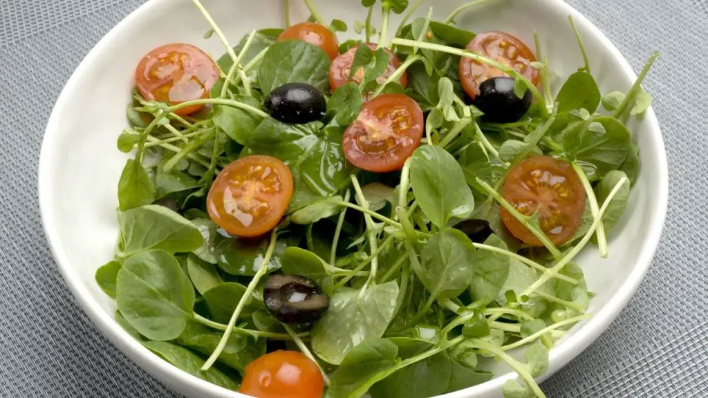 Berro ¿Qué es y para qué sirve? - (Propiedades, usos y más)