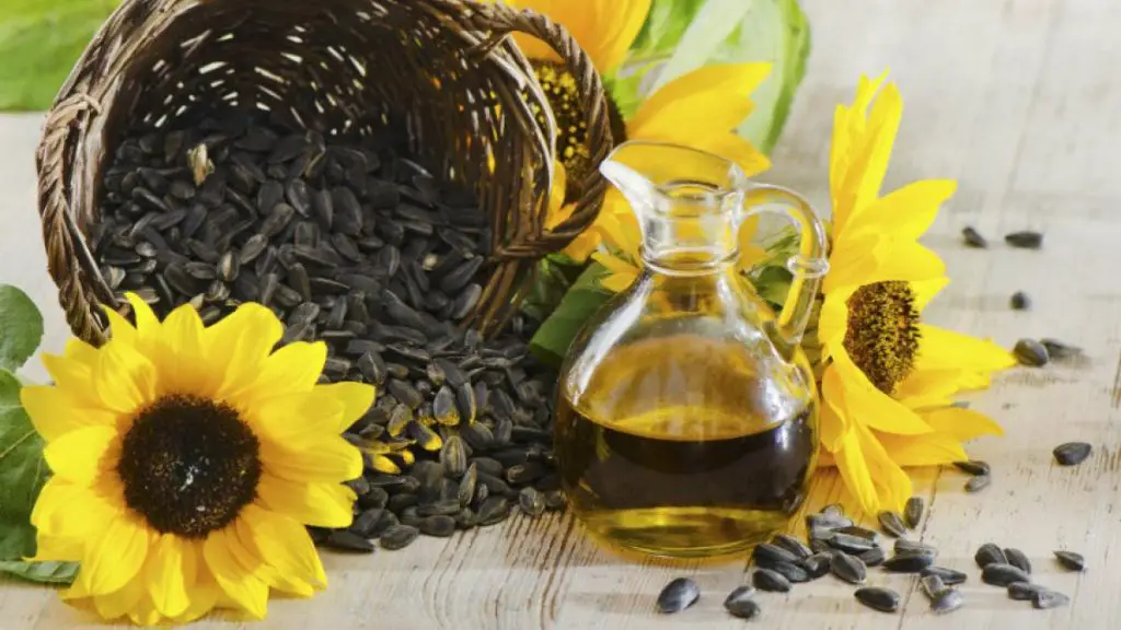 +10 Alimentos con Omega 6: Útiles para la salud del cerebro