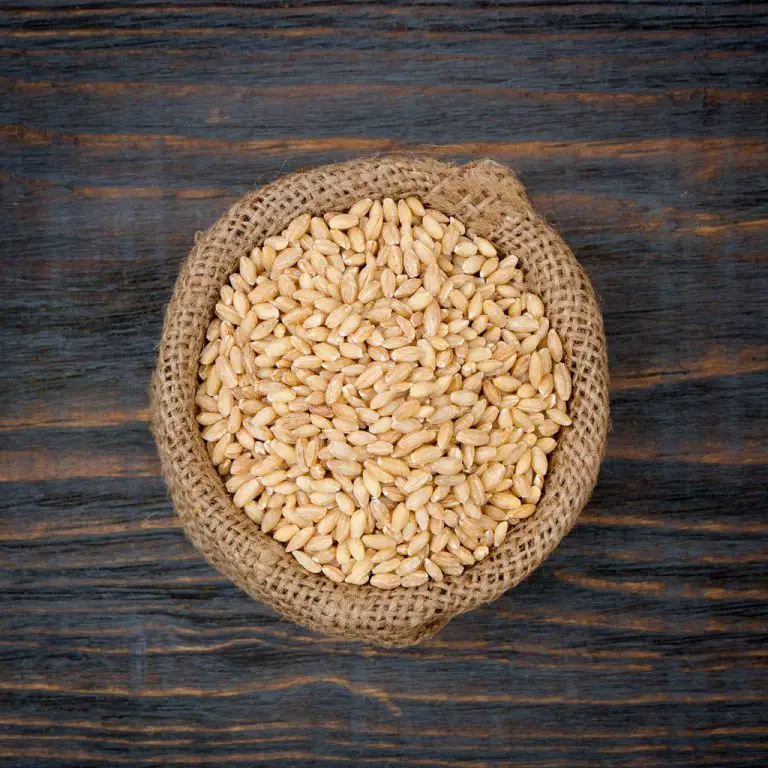 La cebada: Un cereal rico en fibra