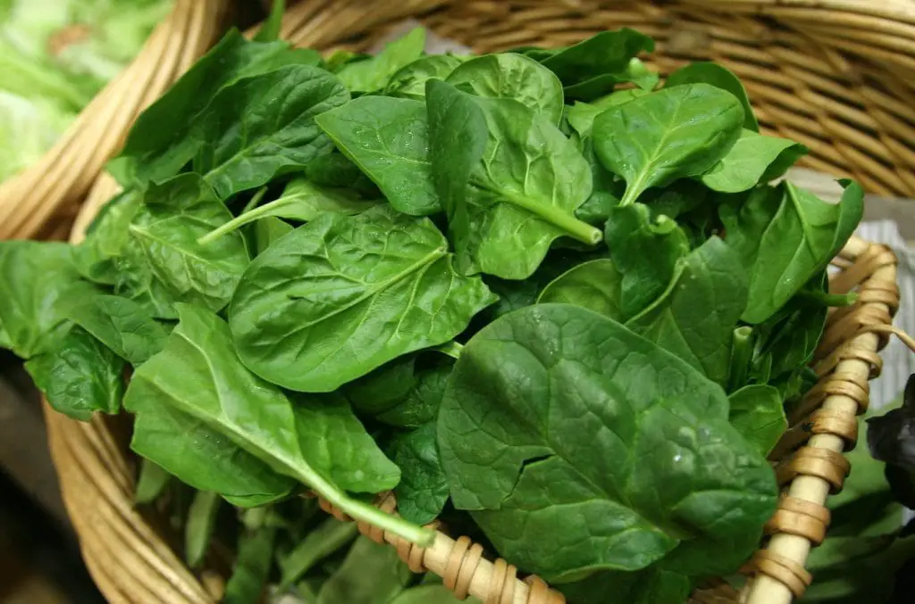 +16 Alimentos ricos en carotenos ¡Dale color a tu piel!