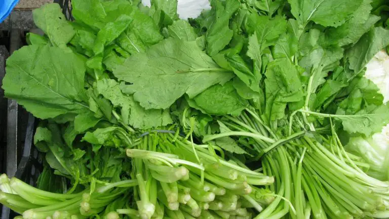 +16 Alimentos ricos en carotenos ¡Dale color a tu piel!