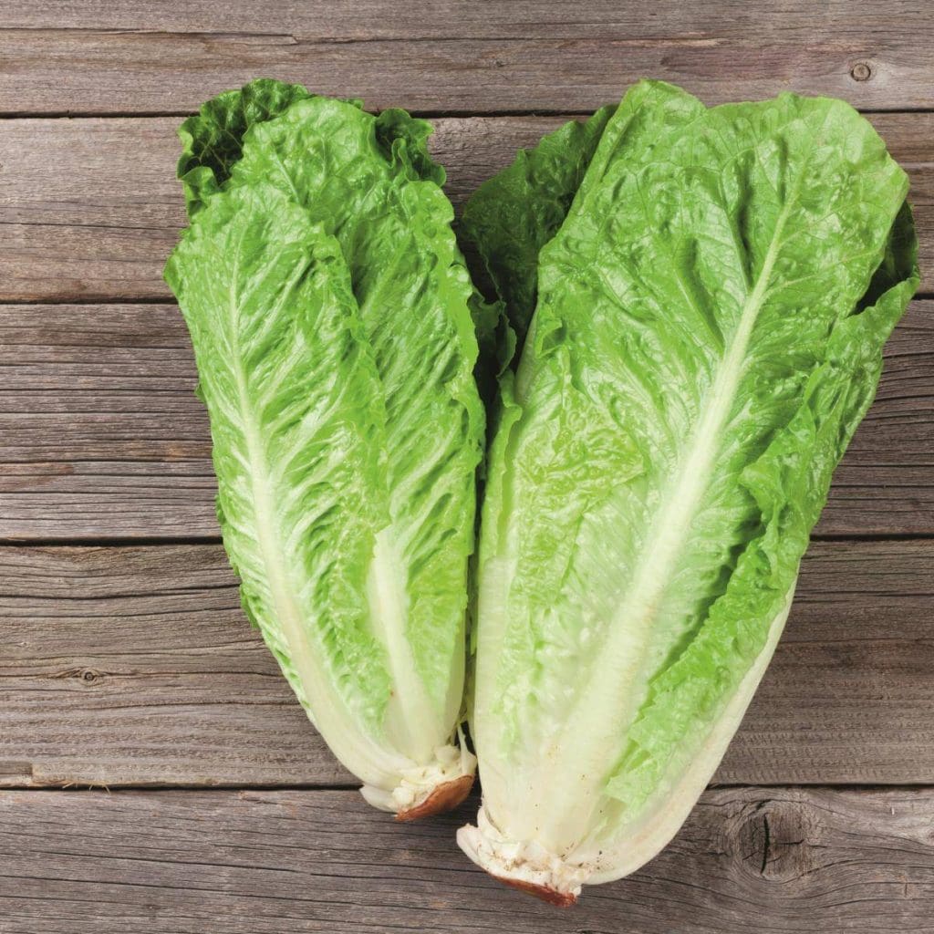 +16 Alimentos RICOS en CLORO ¿Son importantes para la salud?