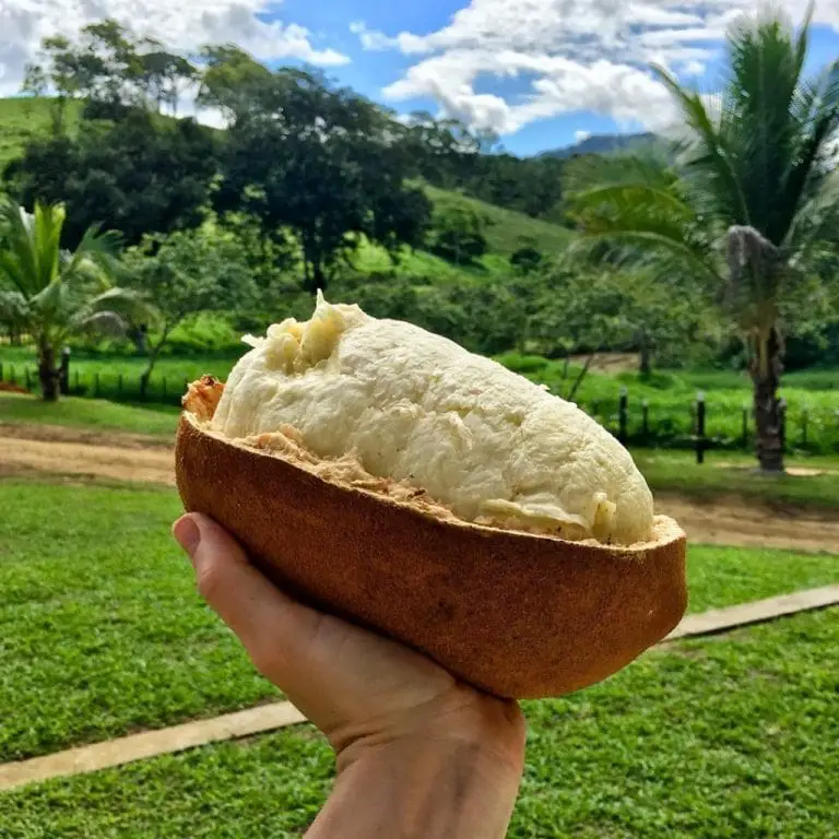 +9 Frutas RARAS ¡Que de seguro NO CONOCES! [LISTADO]