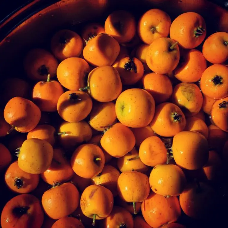 +13 Frutas típicas Mexicanas: Consumidas en todo México