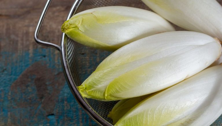 La Endibia: Hortaliza rica en fibra