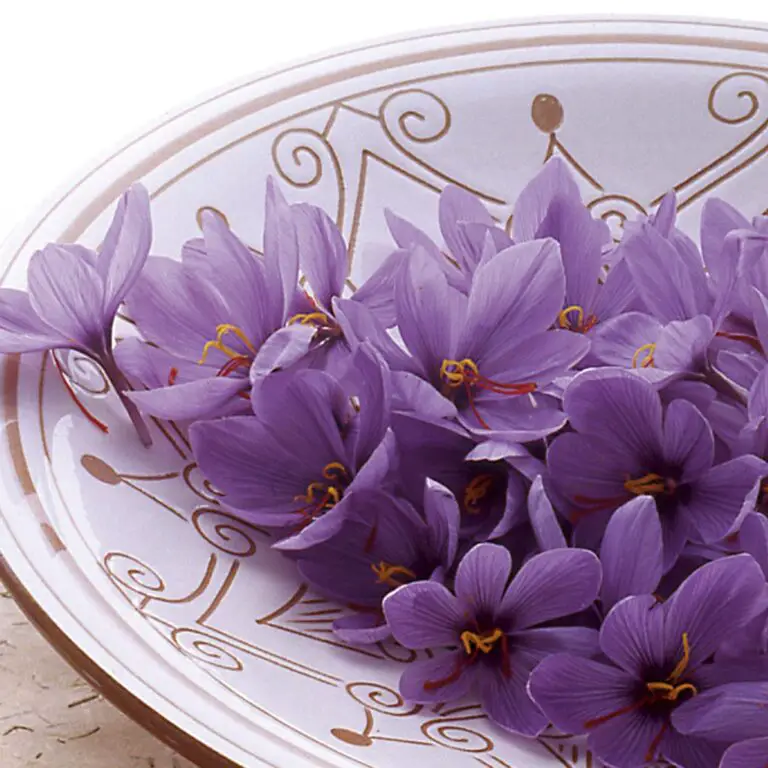 Azafrán: La especia más caraa del mundo - Bol de Cereales