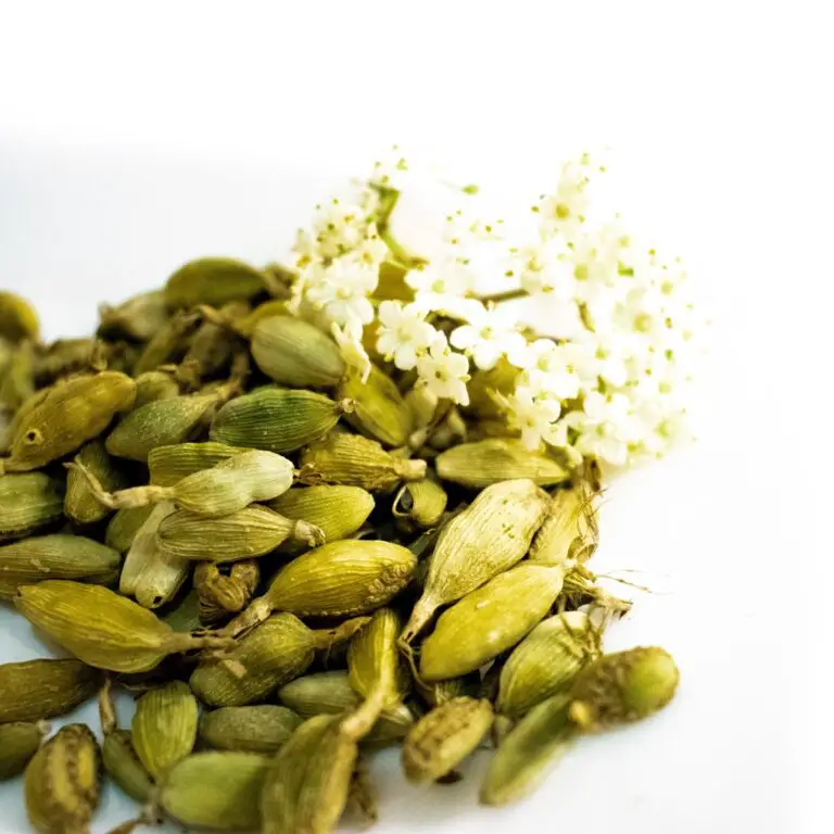 Cardamomo: Una especia que se obtiene de las plantas - Bol de Cereales