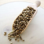 Cáñamo ¿Qué es? ¿Para que sirve? - (Usos, beneficios y más)