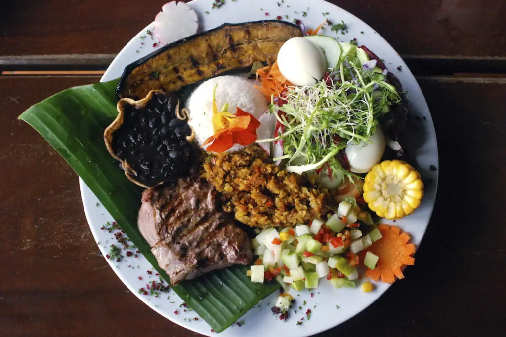 Alimentos ¿Qué son? ¿Cuantos tipos existen? ¿Para que sirven? y más